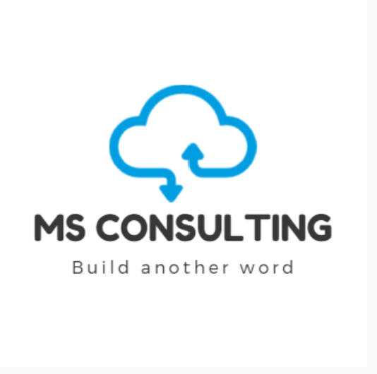 MS CONSULTING